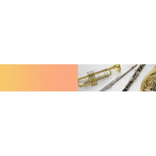 Brass,Woodwind & Strings - Woodwind Instruments Online | Buy Saxophone ...