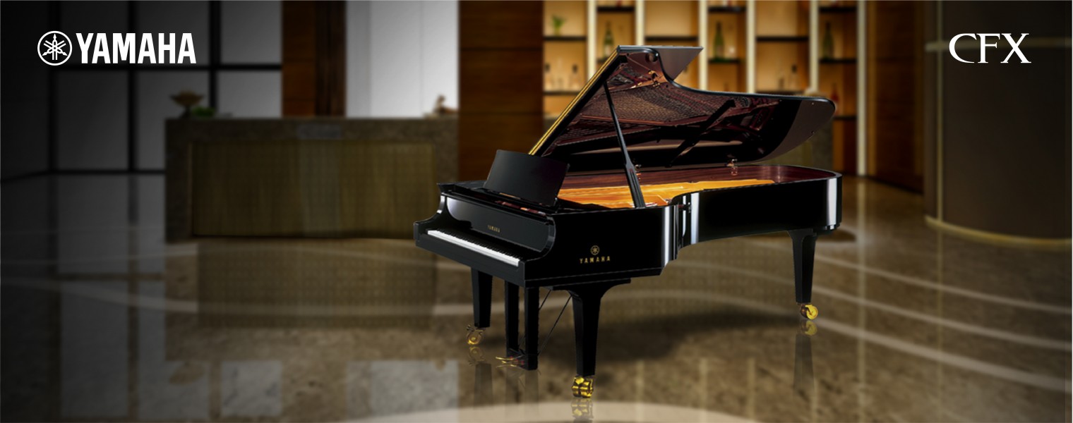 Musical instruments & professional audio store in UAE | Thomsun Music