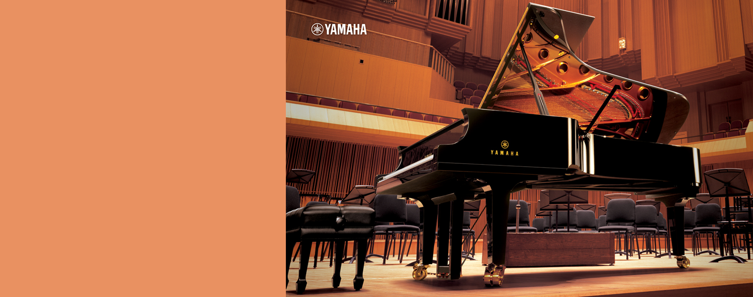 Musical instruments & professional audio store in UAE | Thomsun Music