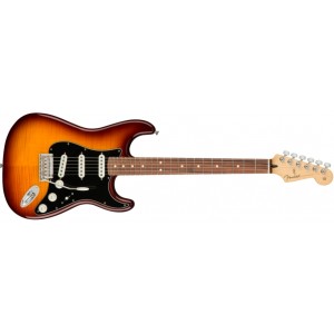 Electric Guitars Online | Buy Yamaha Electric Guitar in Dubai | UAE